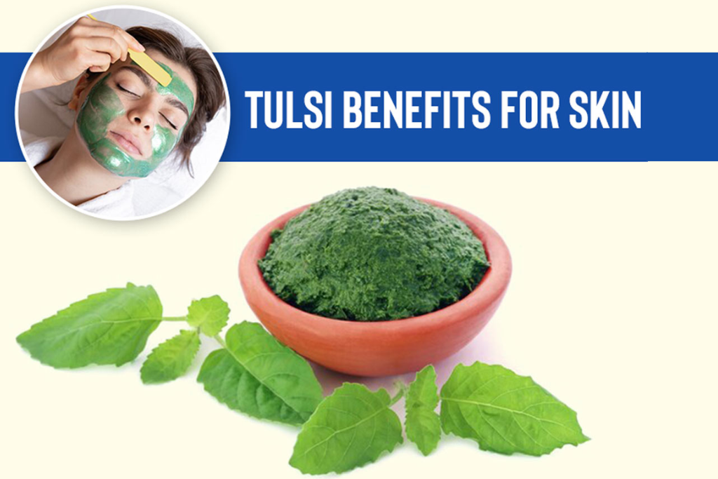 How Tulsi Leaves Can Improve Skin – ThisVideoRocks